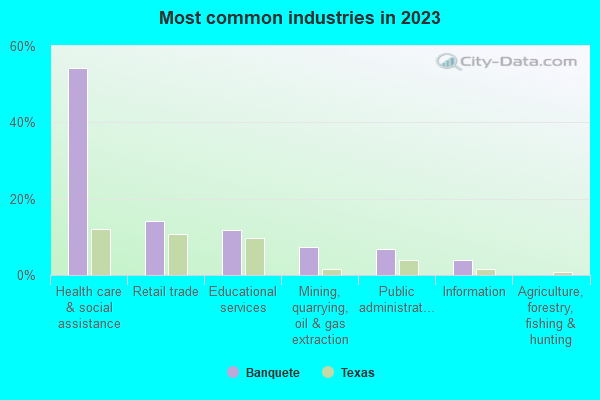 Banquete, Texas (TX 78339, 78380) profile: population, maps, real ...