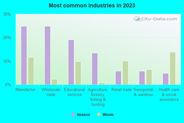 Beason, Illinois (IL 62512) profile: population, maps, real estate ...