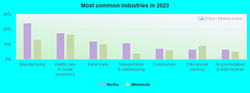 Bertha, Minnesota (MN 56437) profile: population, maps, real estate ...