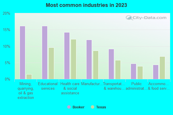Booker, Texas (TX 79005) profile: population, maps, real estate ...