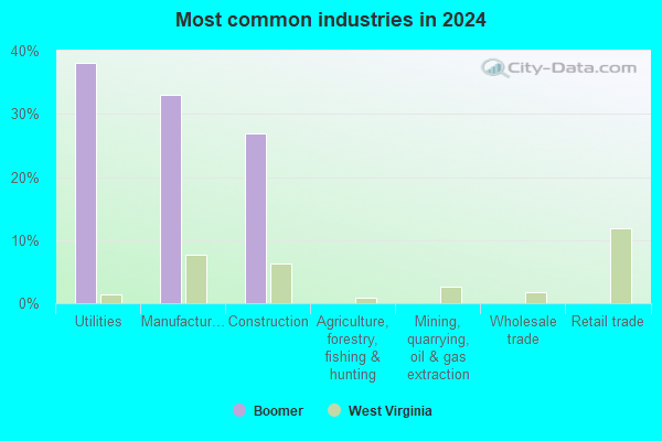 Boomer, West Virginia (WV 25031) profile: population, maps, real estate ...