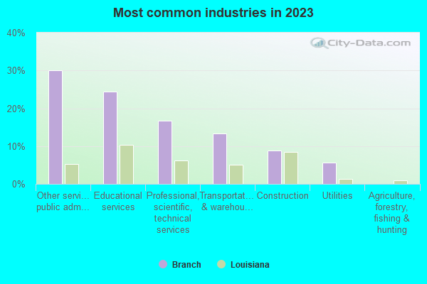 Branch, Louisiana (LA 70516) profile: population, maps, real estate ...