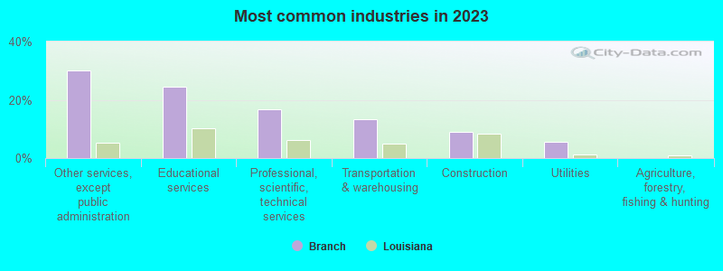 Branch, Louisiana (LA 70516) profile: population, maps, real estate ...