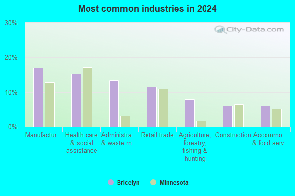 Bricelyn, Minnesota (MN 56014) profile: population, maps, real estate ...