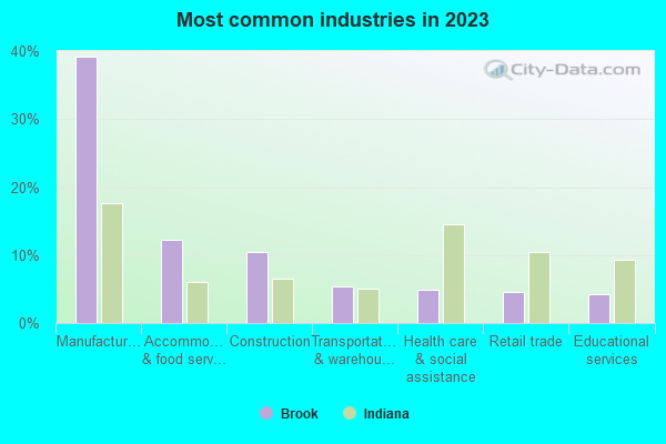 Brook, Indiana (IN 47922) profile: population, maps, real estate ...