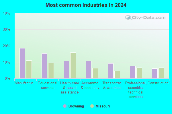Browning, Missouri (MO 64630) profile: population, maps, real estate ...