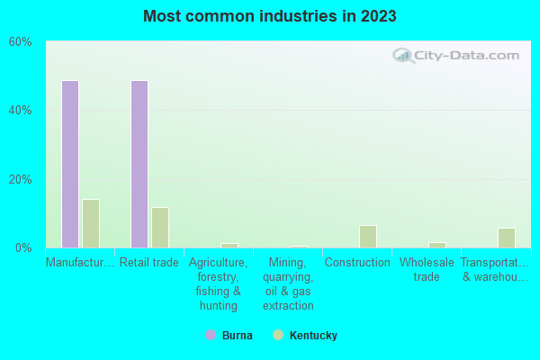 Burna, Kentucky (KY 42028, 42081) profile: population, maps, real ...