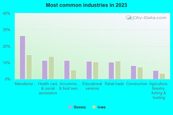Bussey, Iowa (IA 50044) profile: population, maps, real estate ...