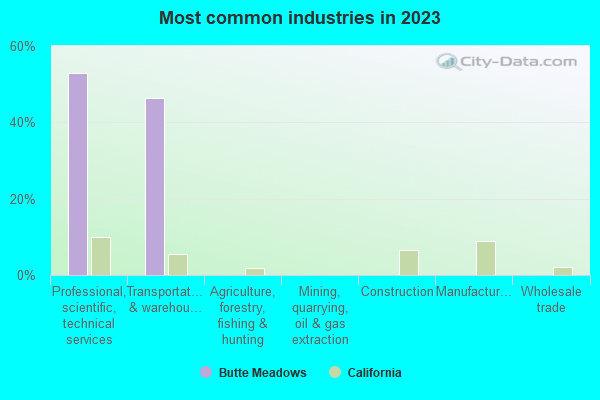 Butte Meadows, California (CA 95942) profile: population, maps, real ...