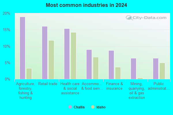 Challis, Idaho (ID 83226) profile: population, maps, real estate ...