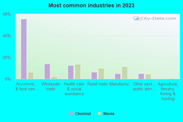 Chestnut, Illinois (IL 62518) profile: population, maps, real estate ...