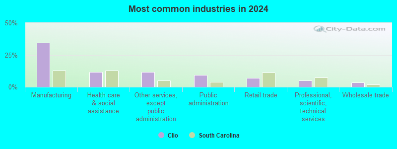 Clio, South Carolina (SC 29525) profile: population, maps, real estate ...