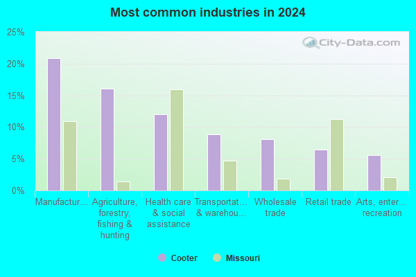 Cooter, Missouri (MO 63839) profile: population, maps, real estate ...