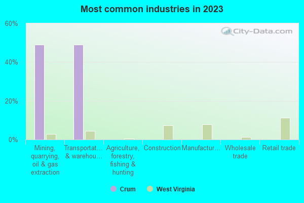 Crum, West Virginia (WV 25669) profile: population, maps, real estate ...