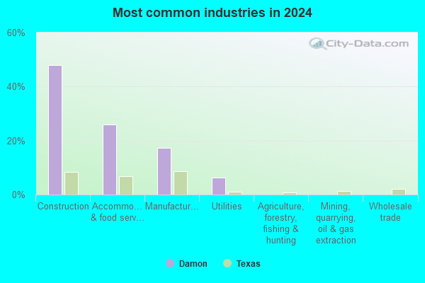 Damon, Texas (TX 77430) profile: population, maps, real estate ...