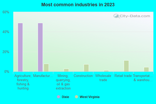 Dixie, West Virginia (WV 25059) profile: population, maps, real estate ...