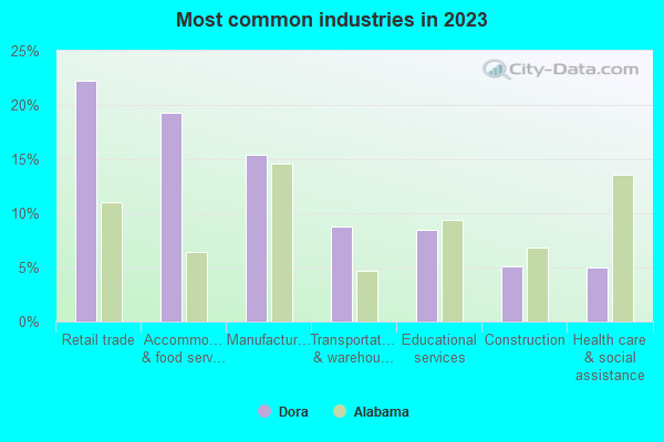 Dora, Alabama (AL 35062) profile: population, maps, real estate ...