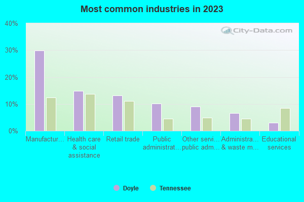 Doyle, Tennessee (TN 38559, 38583) profile: population, maps, real ...