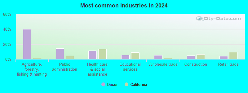 Ducor, California (CA 93218) profile: population, maps, real estate ...