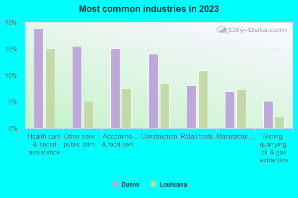 Duson, Louisiana (LA) profile: population, maps, real estate, averages ...