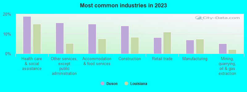 Duson, Louisiana (LA) profile: population, maps, real estate, averages ...