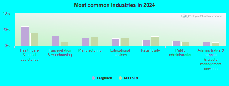 Ferguson, Missouri (MO 63031) profile: population, maps, real estate ...