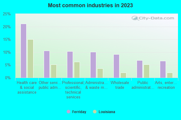 Ferriday, Louisiana (LA 71334) profile: population, maps, real estate ...