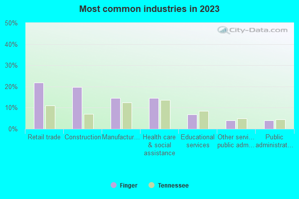 Finger, Tennessee (TN 38334) profile: population, maps, real estate ...