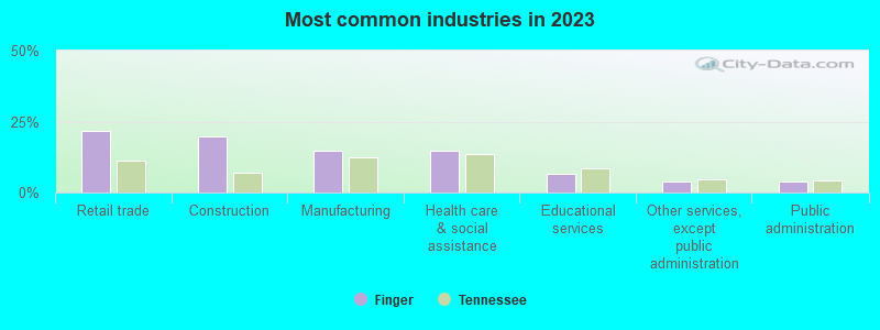 Finger, Tennessee (TN 38334) profile: population, maps, real estate ...