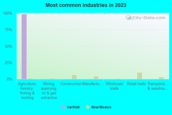 Garfield, New Mexico (NM 87936) profile: population, maps, real estate ...