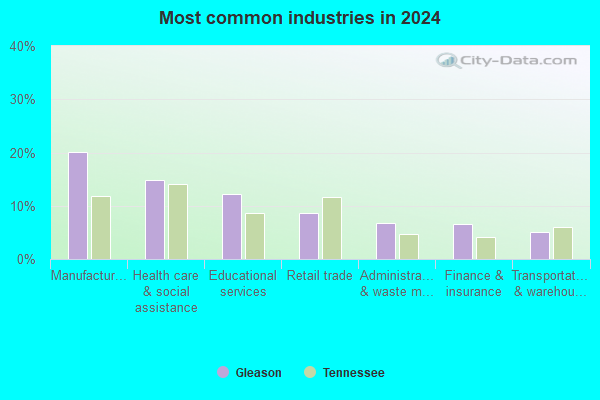 Gleason, Tennessee (TN 38229) profile: population, maps, real estate ...
