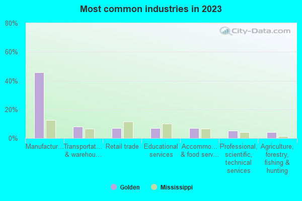 Golden, Mississippi (MS 38847) profile: population, maps, real estate ...