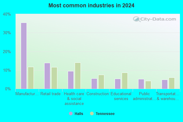Halls, Tennessee (TN 38040) profile: population, maps, real estate ...