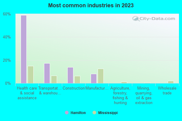 Hamilton, Mississippi (MS 39746) profile: population, maps, real estate ...