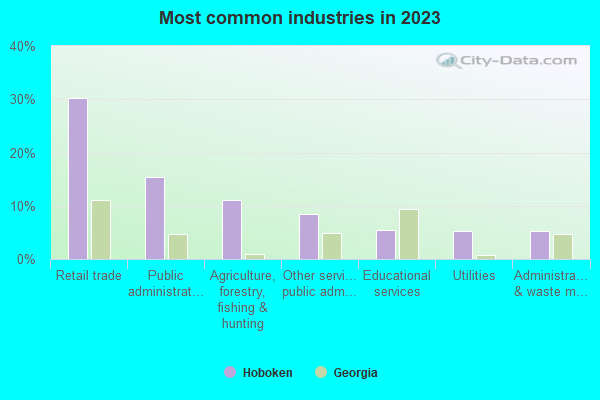 Hoboken, Georgia (GA 31542) profile: population, maps, real estate ...