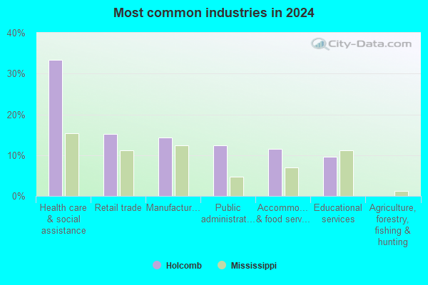 Holcomb, Mississippi (MS 38940) profile: population, maps, real estate ...
