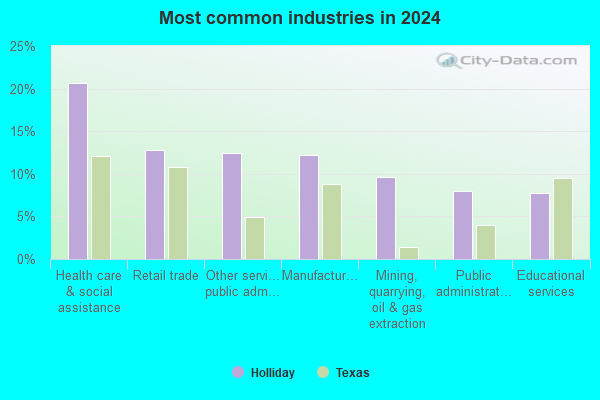 Holliday, Texas (TX 76310, 76366) profile: population, maps, real ...