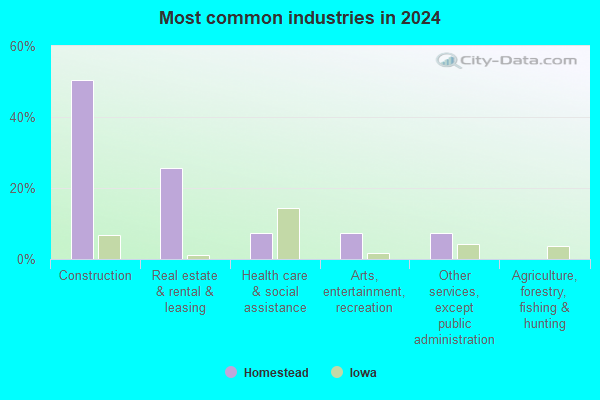 Homestead, Iowa (IA 52236) profile: population, maps, real estate ...