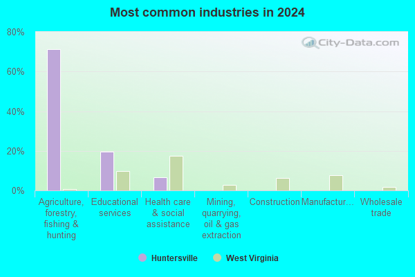 Huntersville, West Virginia (WV 24954) profile: population, maps, real ...