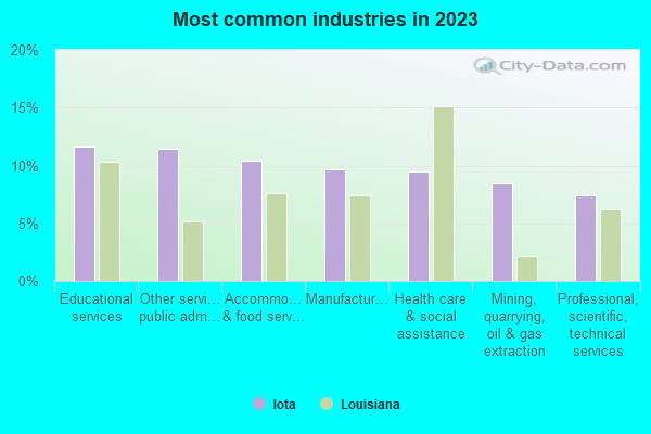 Iota, Louisiana (LA 70543) profile: population, maps, real estate, averages, homes, statistics ...