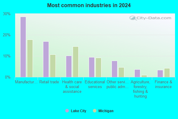 Lake City, Michigan (MI 49651) profile: population, maps, real estate ...