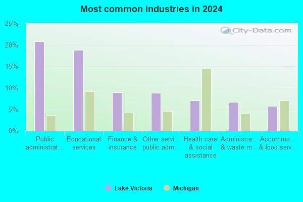 Lake Victoria, Michigan (MI) profile: population, maps, real estate ...