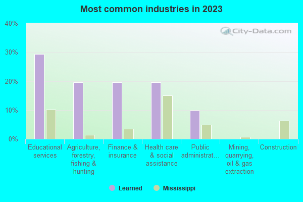 Learned, Mississippi (MS 39154) profile: population, maps, real estate ...