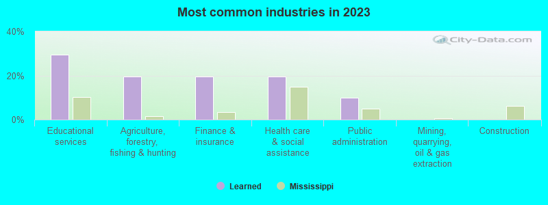 Learned, Mississippi (MS 39154) profile: population, maps, real estate ...
