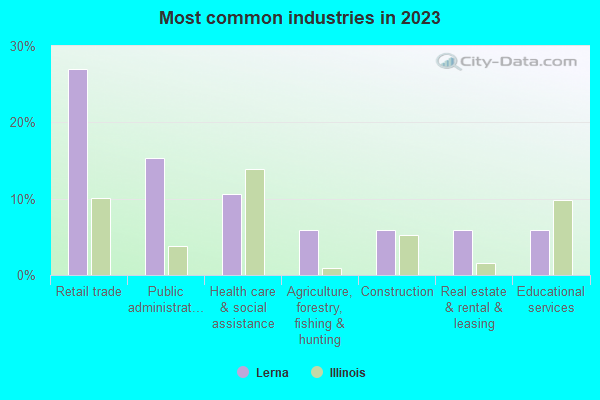 Lerna, Illinois (IL 62440) profile: population, maps, real estate ...