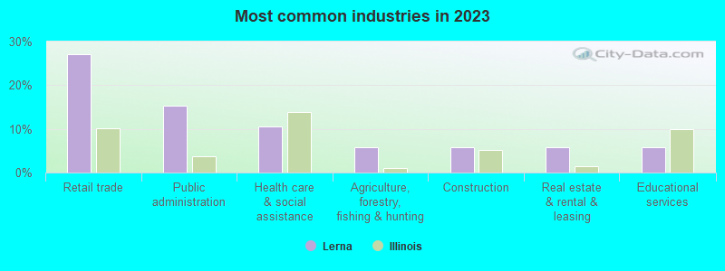 Lerna, Illinois (IL 62440) profile: population, maps, real estate ...