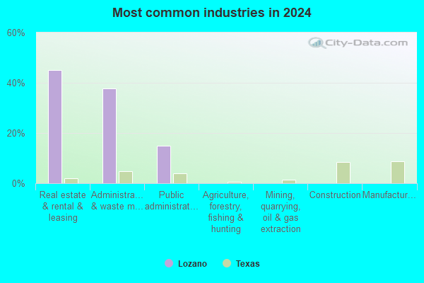Lozano, Texas (TX 78586) profile: population, maps, real estate ...