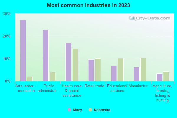 Macy, Nebraska (NE 68039) profile: population, maps, real estate ...