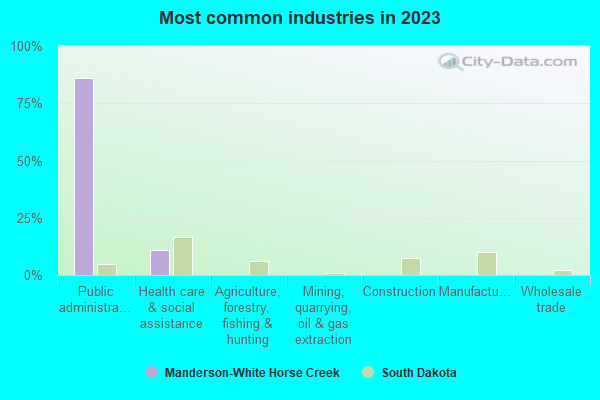 Manderson-White Horse Creek, South Dakota (SD 57756) profile ...