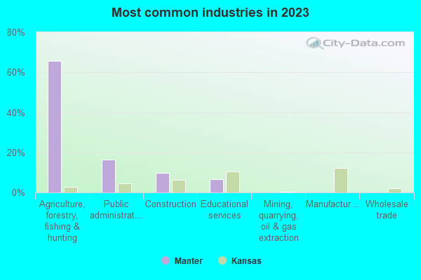 Manter, Kansas (KS 67862) profile: population, maps, real estate ...